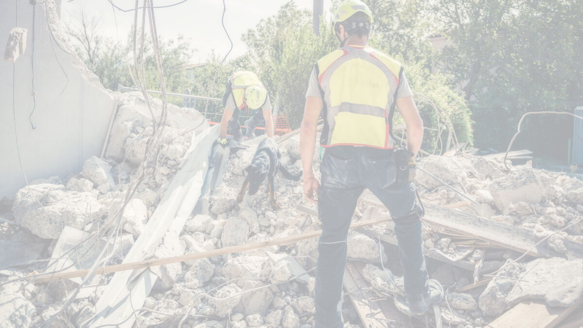 A Rising Number of Natural Disasters and the Importance of Disaster ...