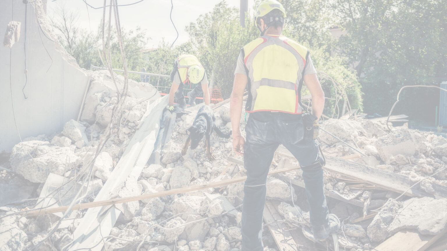 A Rising Number of Natural Disasters and the Importance of Disaster ...